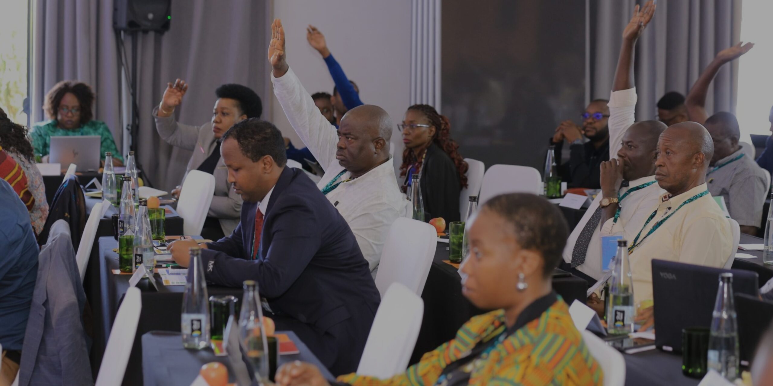 African Election Observers Network - AHEAD Africa